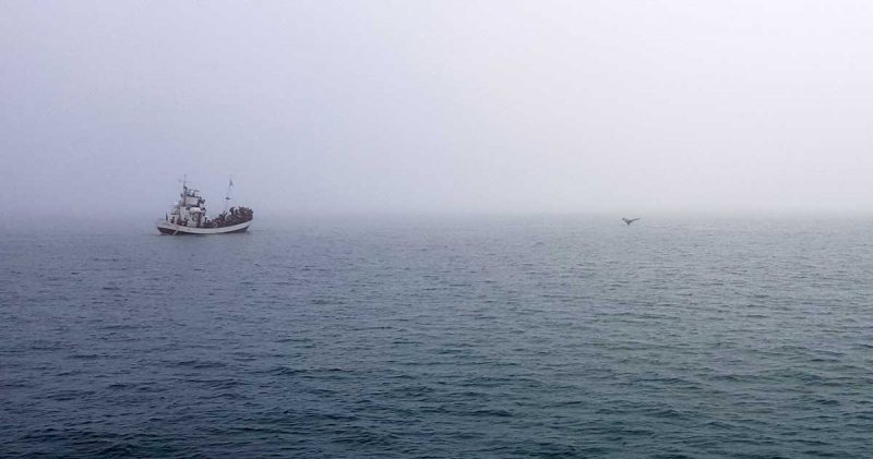 40+ ISLAND Sehenswürdigkeiten | ousuca® | 10 Tage Rundreise Tipps